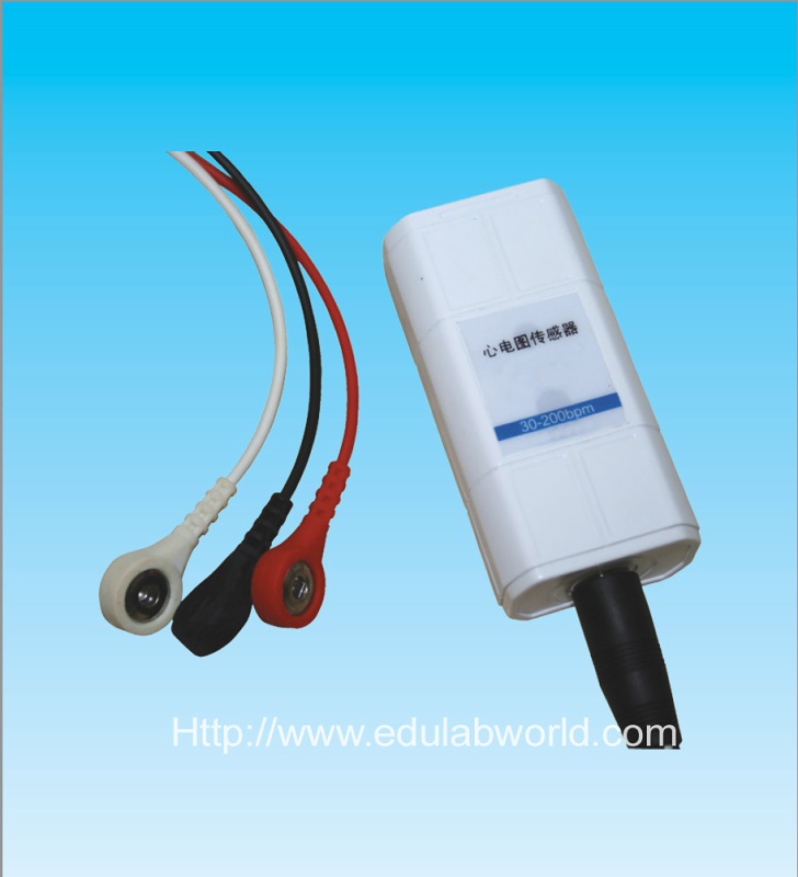 EGG sensor--MODERN EXPERIMENT, 27127