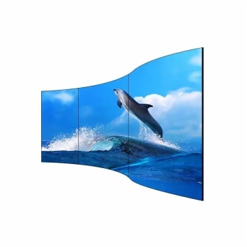 55 Inch Flexible Curved OLED Display--DISPLAY,